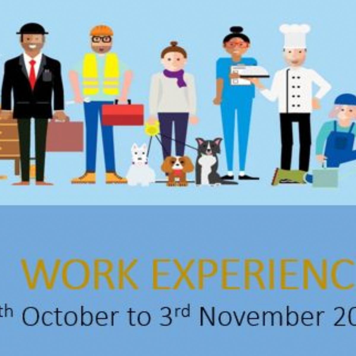 Chaucer School - Work Experience